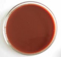 AGAR CHOCOLATE BASE GC+SUPLE+HB 10UN.9CM :: QuoRux Chile